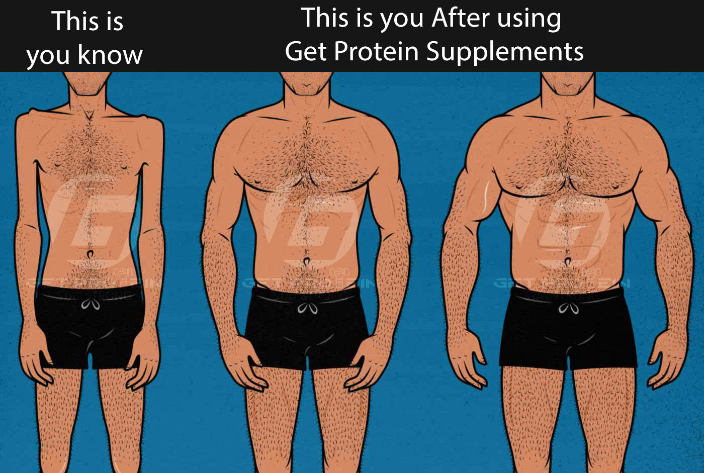 Optimum Nutrition Whey Protien With Package – GP